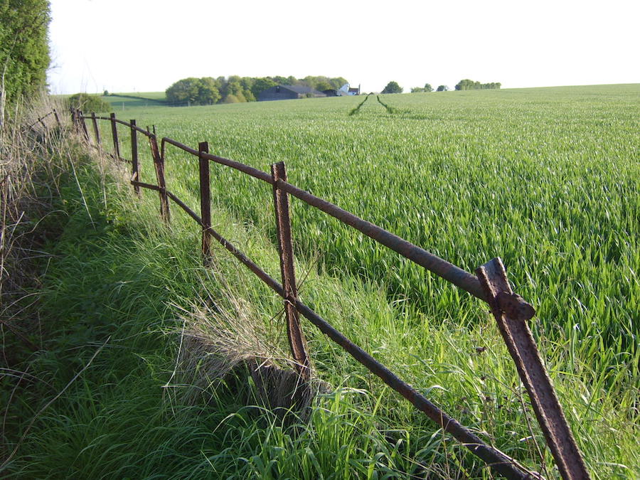 Nature Nurtures | Walk the Self-Talk